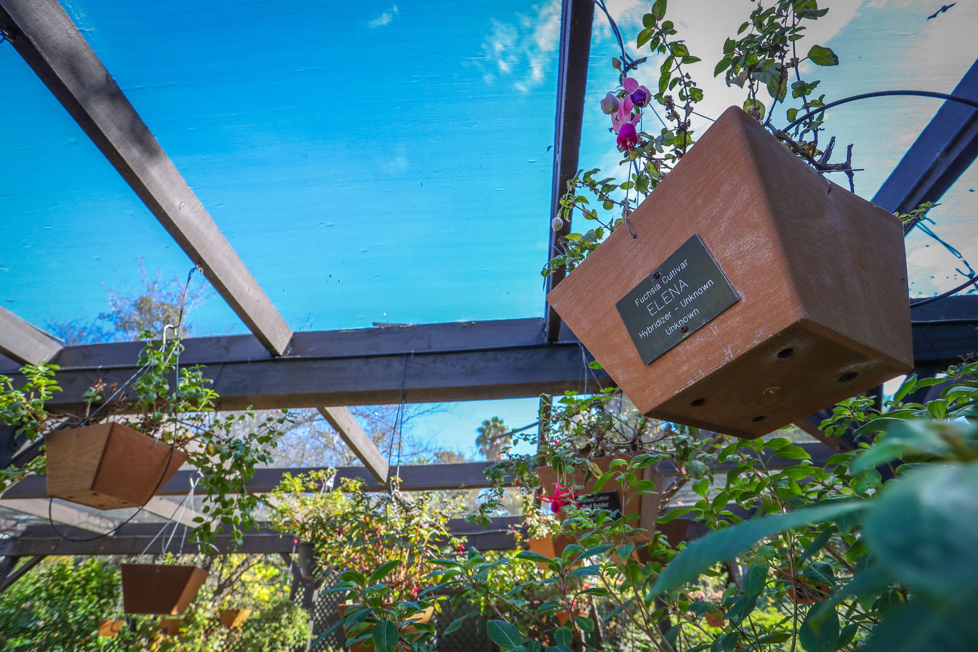 DESTINATION SCIENCE CAMP – Parks & Recreation