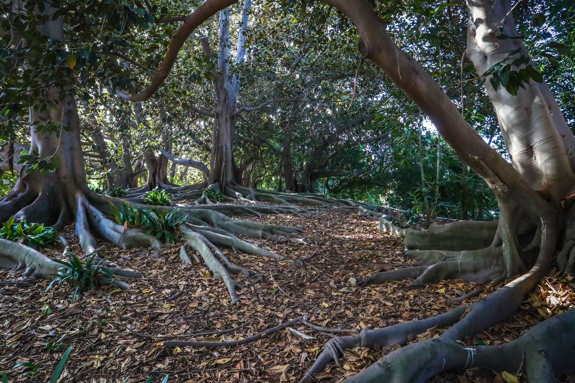 BACKYARD COMPOSTING BEGINNER WORKSHOP – Parks & Recreation