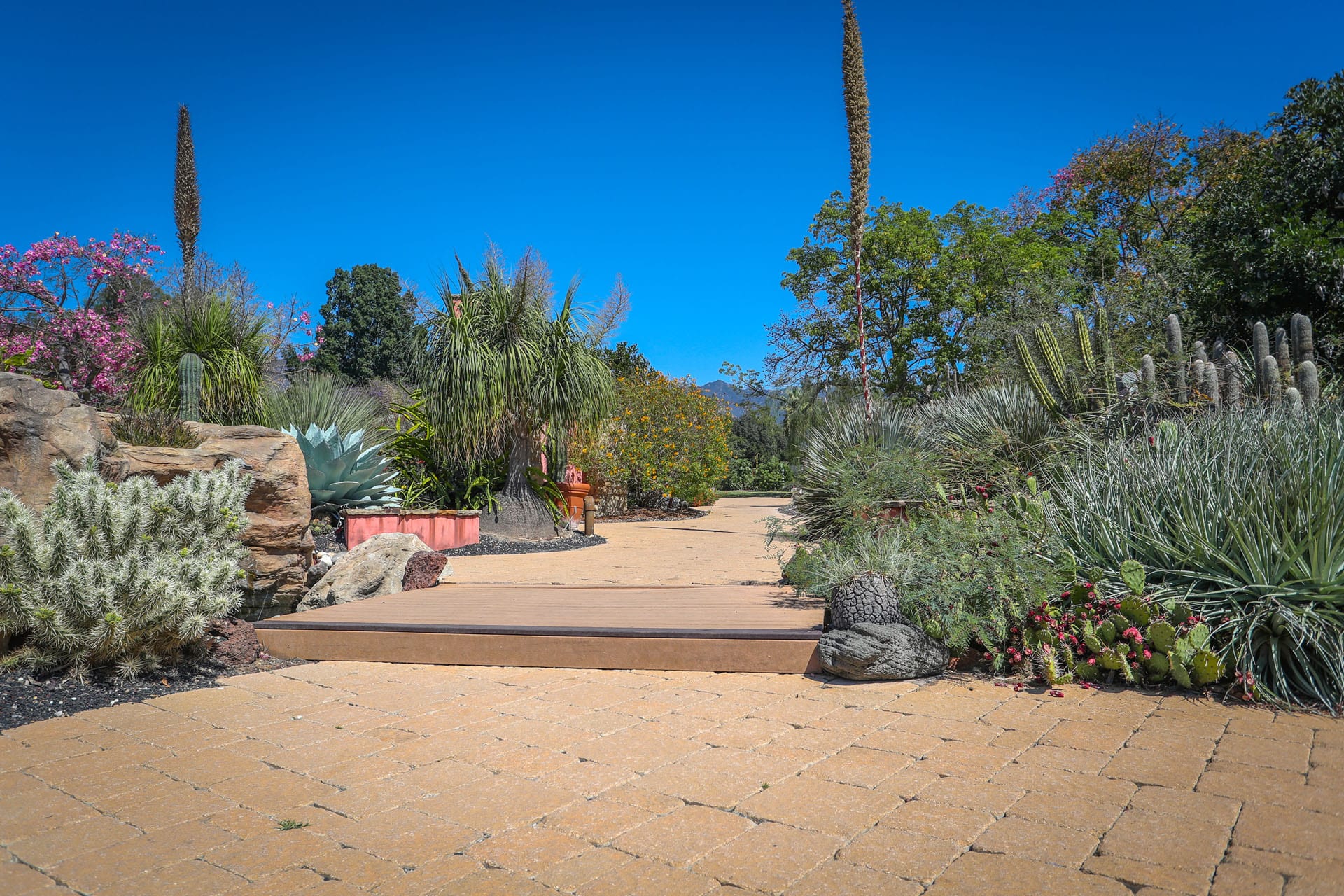 DOCENT-LED ADULT WALKING TOURS – Parks & Recreation