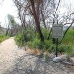 Tujunga Ponds Wildlife Sanctuary – Parks & Recreation