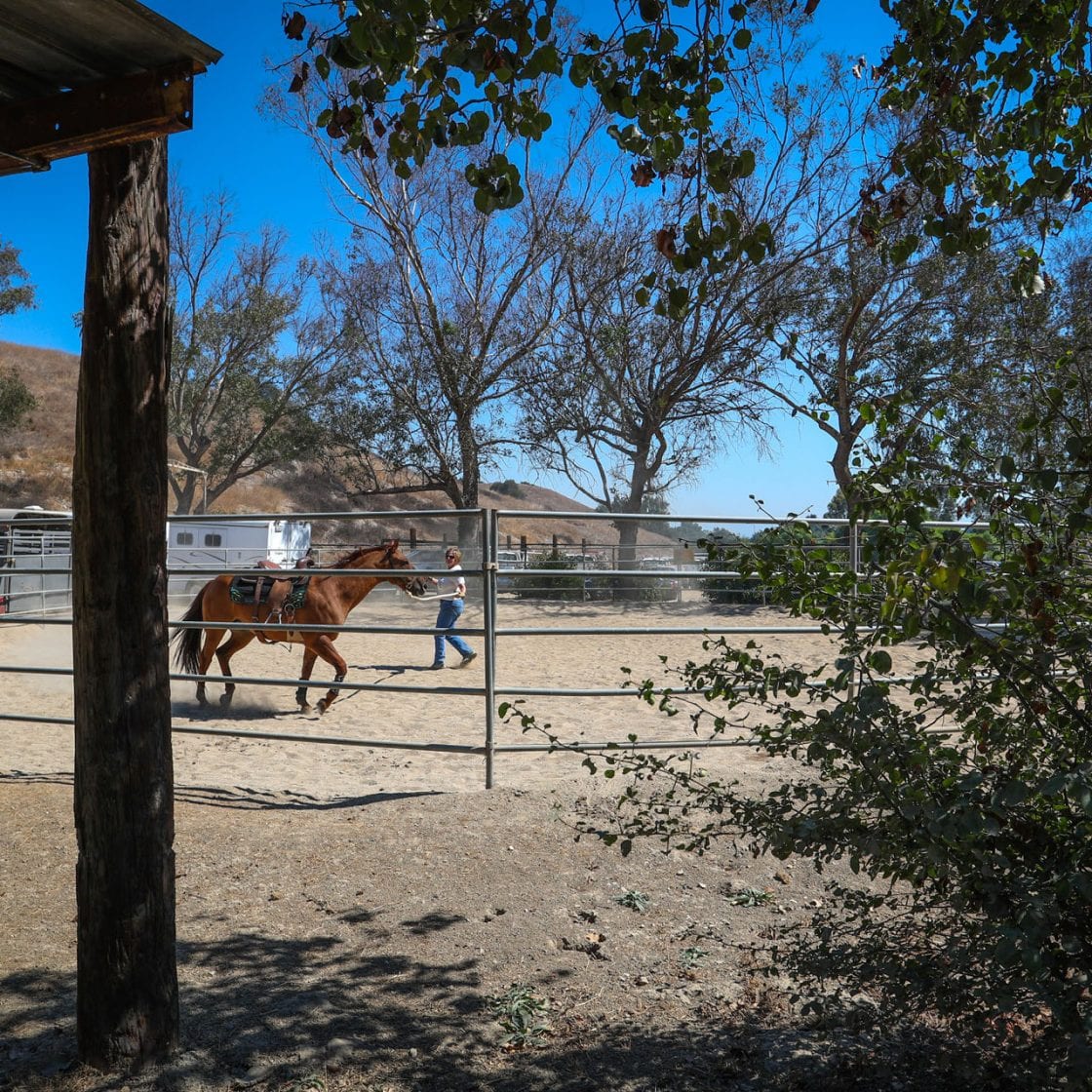 Frank G. Bonelli Equestrian Center – Parks & Recreation