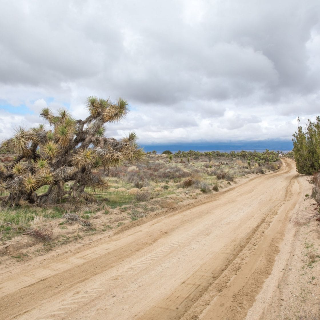 Neenach Wildlife Preserve – Parks & Recreation