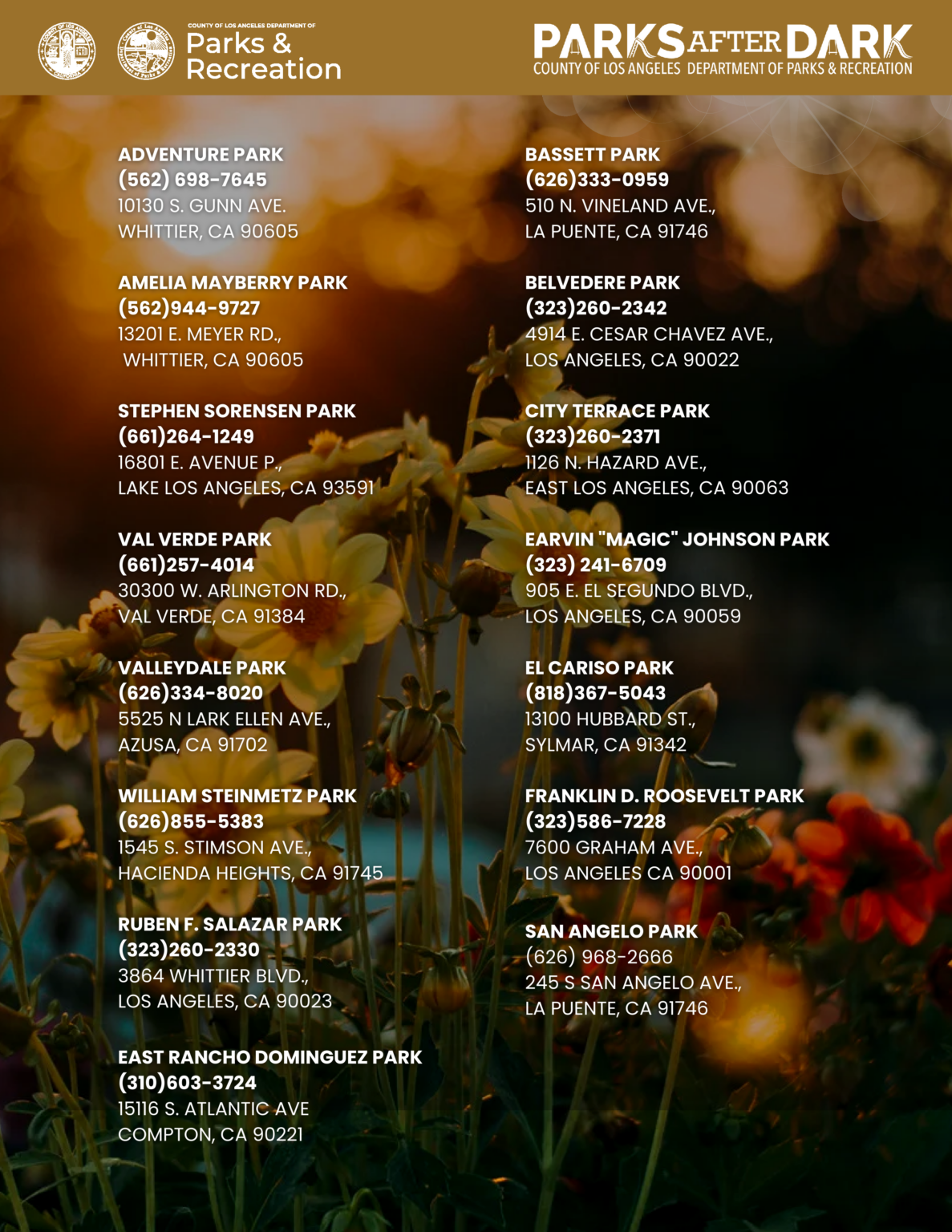 Parks After Dark – Parks & Recreation