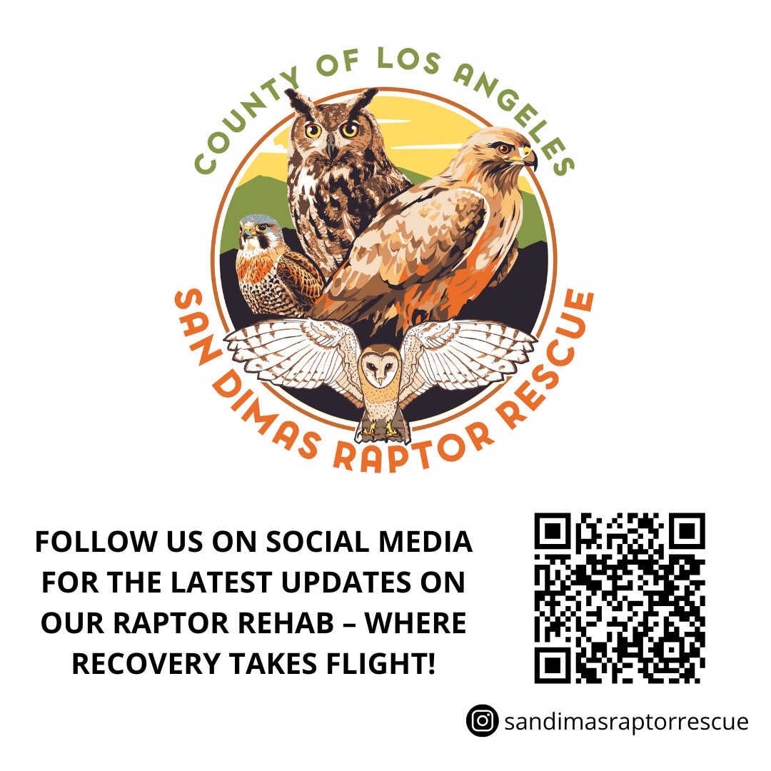 San Dimas Canyon Natural Area and Nature Center – Parks & Recreation